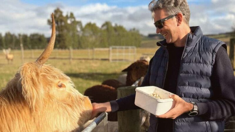 From Queenstown: Coach, Farm Tour & Milford Nature Cruise - FAQ