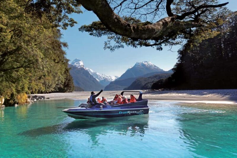 From Queenstown: Dart River Wilderness Jet Boat Experience - Key Points