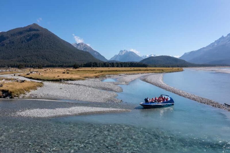 From Queenstown: Dart River Wilderness Jet Boat Experience - The Highlights: Why Its Worth It