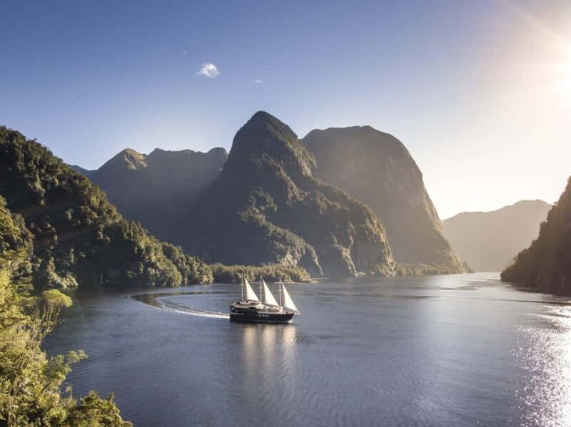 From Queenstown: Doubtful Sound Wilderness Day Trip - Key Points
