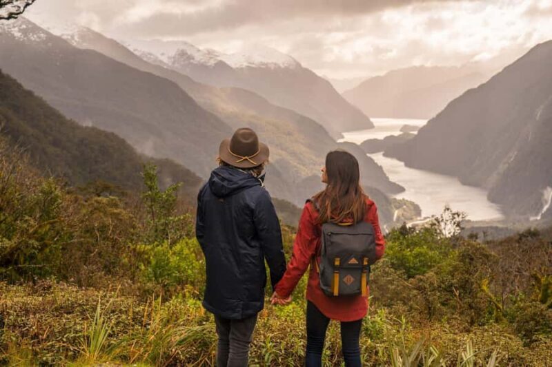 From Queenstown: Doubtful Sound Wilderness Day Trip - An In-Depth Look at the Doubtful Sound Day Trip