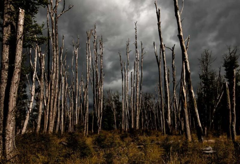 From Queenstown: Lord Of The Rings Tour to Glenorchy - Final Thoughts: Who Will Love This Tour?