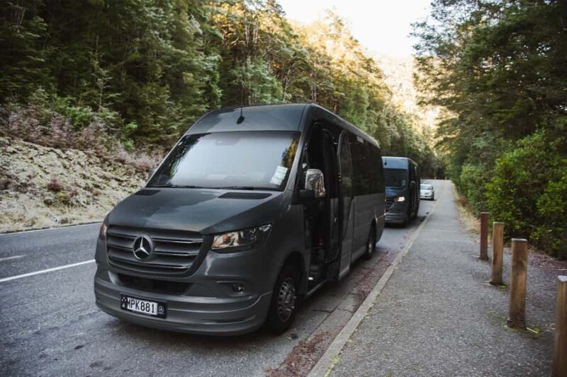 From Queenstown: Milford Sound Business Class with Cruise - Return Options: Simply the Best