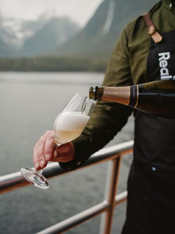 From Queenstown: Milford Sound Business Class with Cruise - Real-Life Experiences and Feedback