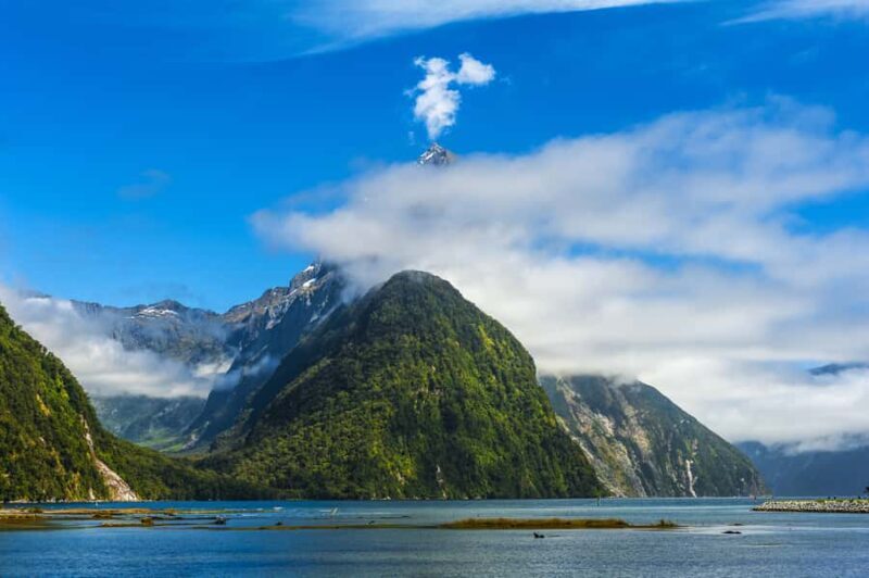 From Queenstown Milford Sound Cruise & Glass-Roof Coach Tour - FAQ