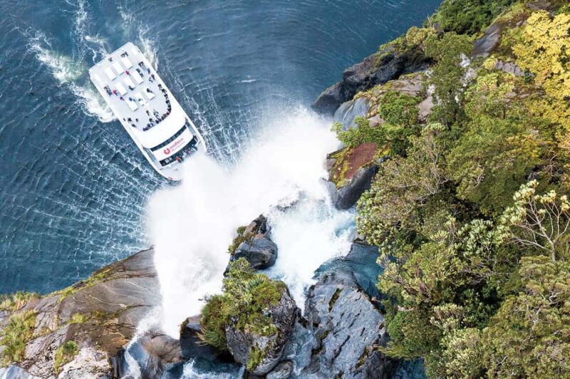 From Queenstown: Milford Sound Day Trip on Premium Coach - An In-Depth Look at the Milford Sound Day Trip