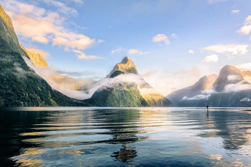 From Queenstown: Milford Sound Premium Day Tour and Cruise - Why Choose the Queenstown Milford Sound Tour?