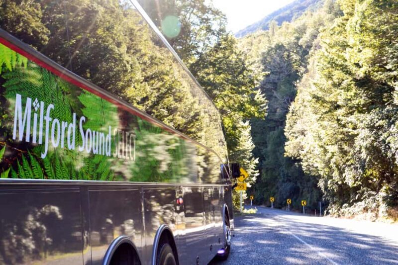 From Queenstown: Milford Sound Premium Day Tour and Cruise - Transportation and Comfort