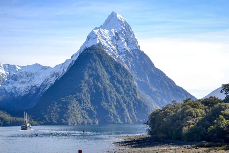 From Queenstown: Milford Sound Premium Day Tour and Cruise - Authentic Experiences from Reviews