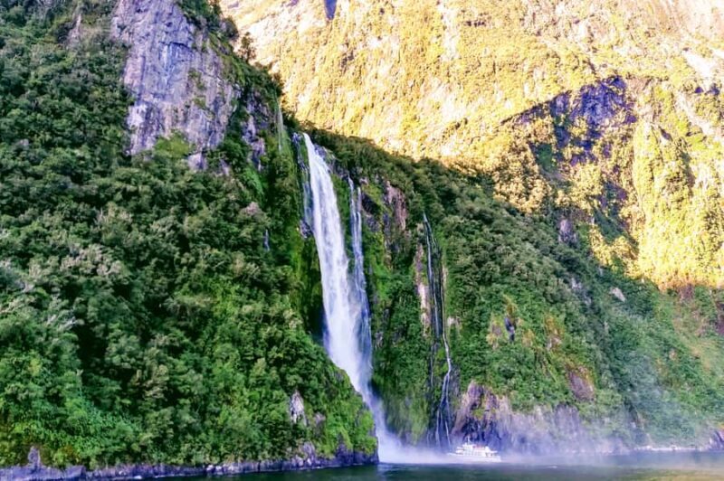 From Queenstown: Milford Sound Premium Day Tour and Cruise - FAQ