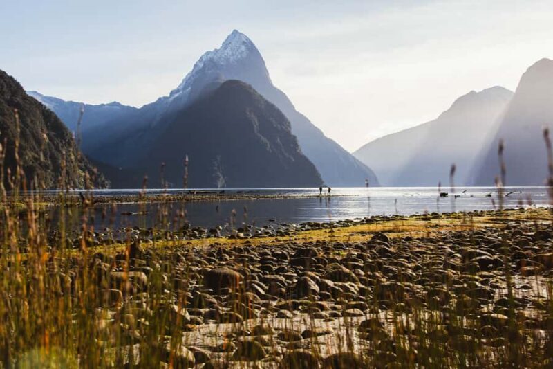 From Queenstown: Milford Sound Scenic Flight & Nature Tour - Summary