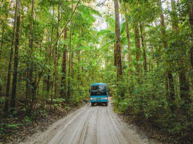 From Rainbow Beach: K'gari Fraser Island Full-Day Coach Tour - Who Is This Tour Best For?