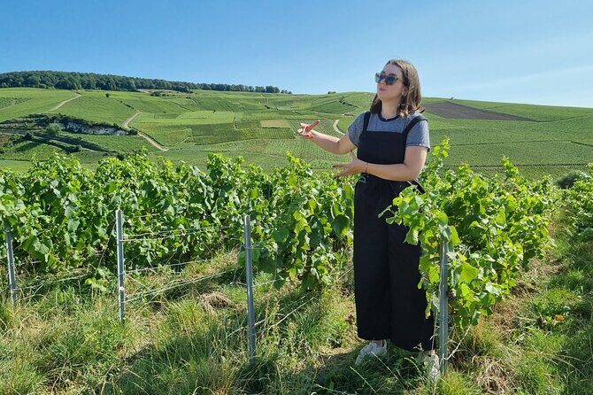 From Reims afternoon e-bike tour, visit and champagne tastings - What to Expect from the Reims E-Bike Tour