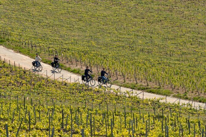 From Reims afternoon e-bike tour, visit and champagne tastings - Who Is This Tour Best For?