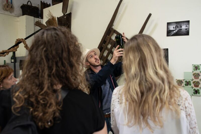 From Reims: Champagne and Family-Run Wineries Tour - Authentic Experiences and Hidden Gems