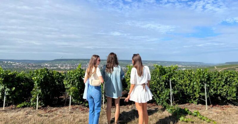 From Reims/Epernay: The Connoisseurs Private Tour 9 tastings - From Reims/Epernay: The Connoisseurs Private Tour 9 Tastings