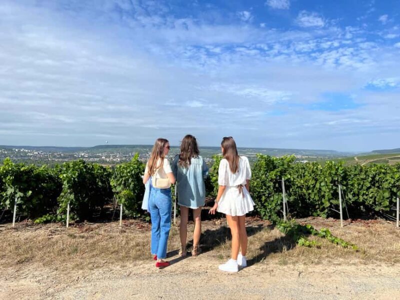 From Reims/Epernay: The Connoisseurs Private Tour 9 tastings - Who Is This Tour Perfect For?