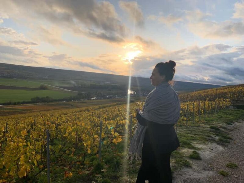 From Reims: Morning Champagne Tour and Tastings - A Closer Look at the Reims Morning Champagne Tour and Tastings