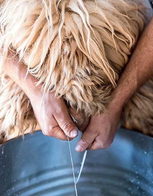 From Rethymno: Arkadi, Margarites, Sfendoni Cave & Axos Tour - Key Points