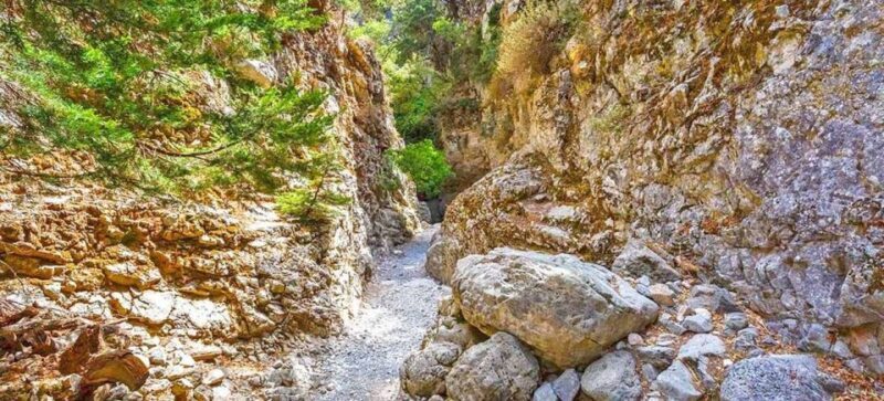 From Rethymno: Imbros Gorge & Libyan Guided Sea Tour - The Journey Through Imbros Gorge: What to Expect