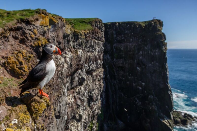 From Reykjavík: 3-Day Tour of the Wild Westfjords - Who Will Love This Tour?