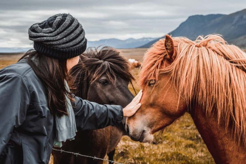 From Reykjavík: 5-Day Northern Lights Hunt & Glacier Lagoon - Exploring the Highlights of the 5-Day Tour