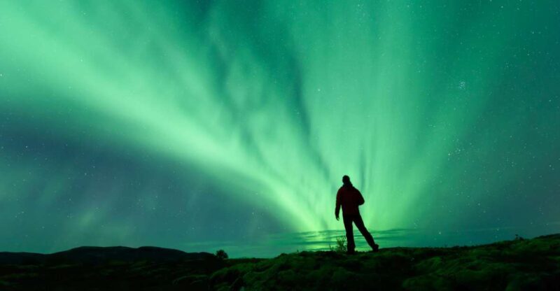 From Reykjavik: Blue Lagoon and Northern Lights Tour - An In-Depth Look at the Tour Experience