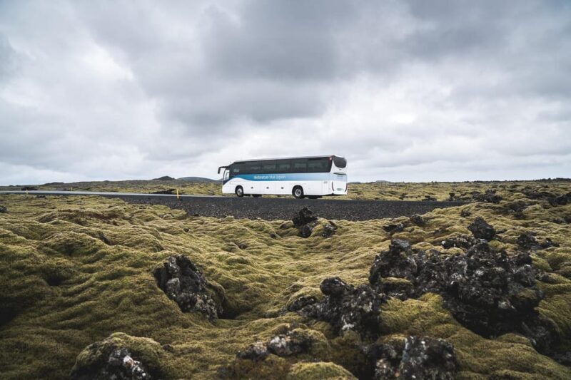 From Reykjavík: Blue Lagoon Premium Admission with Transfer - Who Is This Tour Best For?