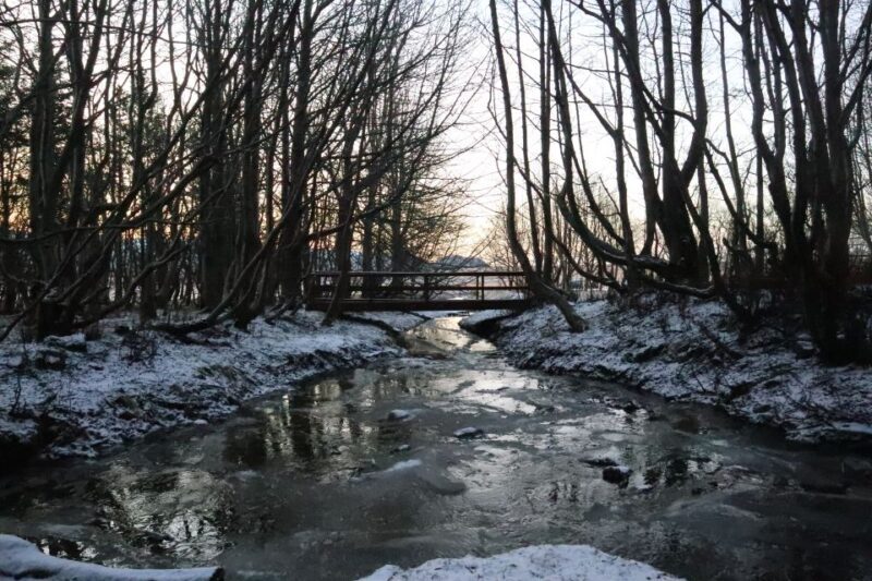 From Reykjavik: Explore the Waterfalls of the South Coast - FAQs