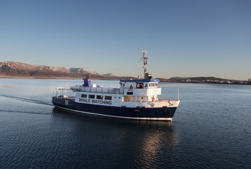 From Reykjavik: New Years Fireworks by Boat - The Highlights That Make This Tour Special