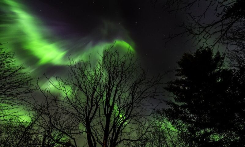 From Reykjavik: Northern Lights Tour with Lifetime Guarantee - The Experience in Detail