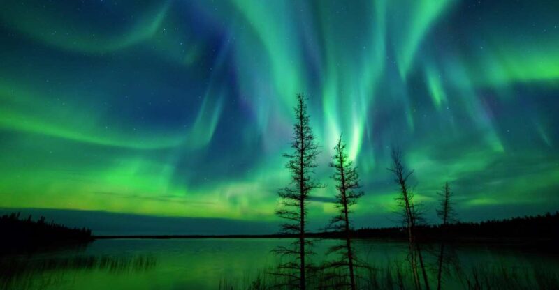 From Reykjavik: Private Northern Lights Tour - Price and Value