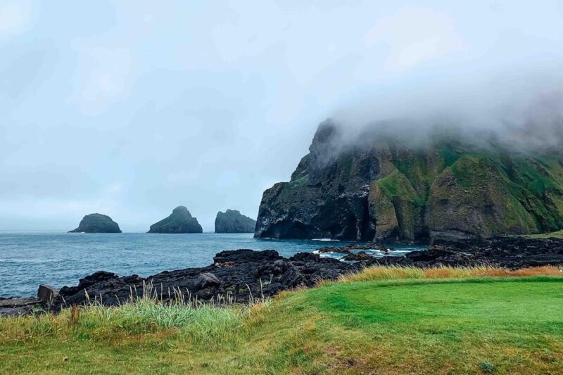From Reykjavik: Puffin and Volcano Tour in Westman Islands - Optional Extras and Free Time