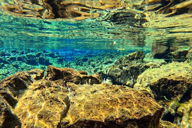 From Reykjavik- Silfra Snorkeling transfer included - Final Thoughts  