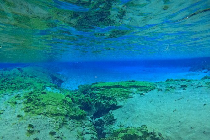 From Reykjavik- Silfra Snorkeling transfer included - FAQ  