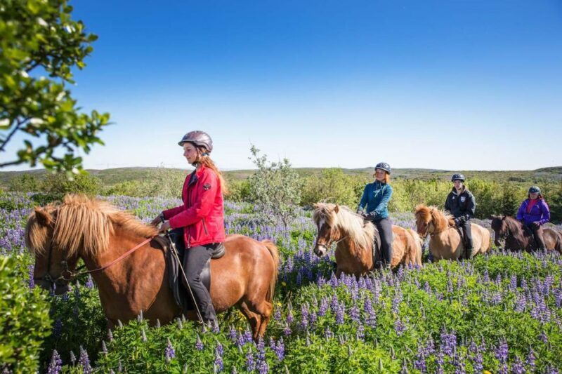 From Reykjavík: Viking Horseback Tour in Hafnarfjörður - An In-Depth Look at the Viking Horseback Tour