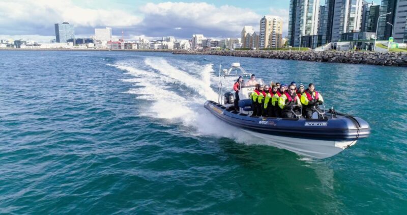 From Reykjavik: Whale Watching Tour by Speedboat - What Makes This Tour Stand Out