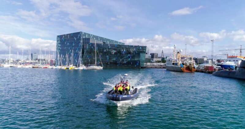 From Reykjavik: Whale Watching Tour by Speedboat - Practical Tips for Your Tour