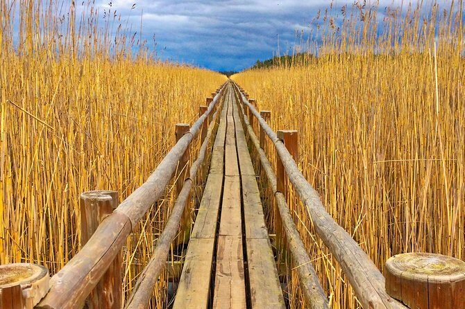 From Riga: Best of Kemeri National Park In One Day - The Value of This Tour