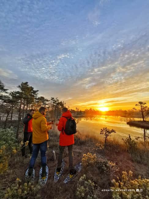 From Riga: Bog-Shoe Walk in Latvias Wild Nature ENG or DE - Key Points