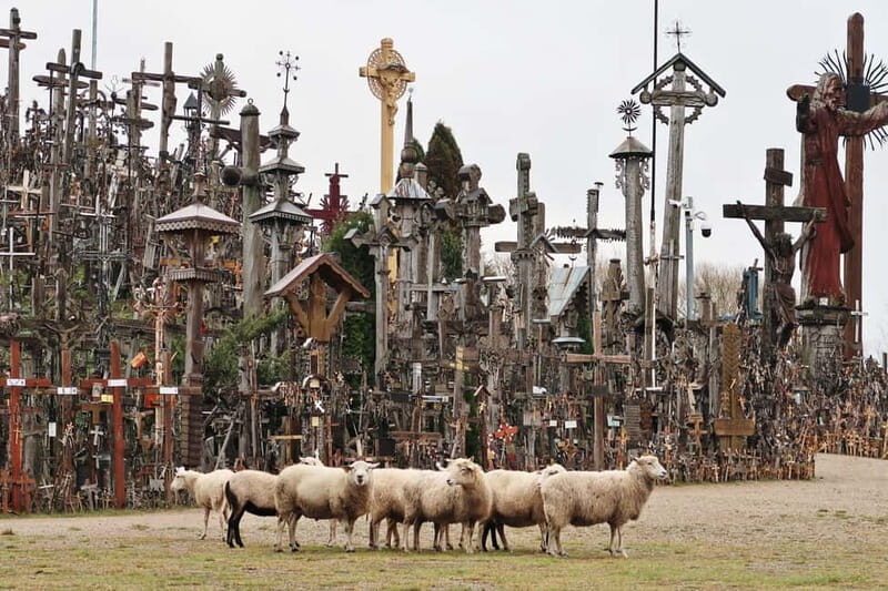 From Riga: Hill of Crosses and Jelgava Gems Tour - An In-Depth Look at the Riga to Baltic Crosses & Jelgava Tour