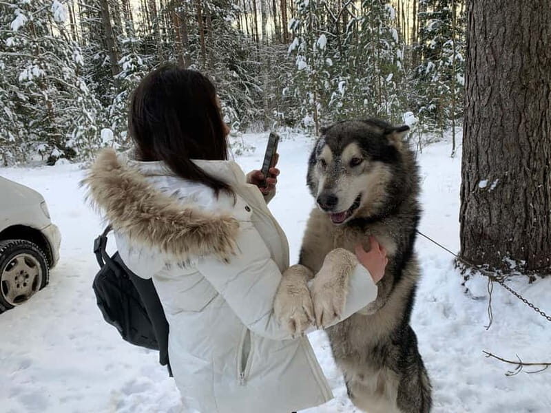 From Riga: Husky Sledding or Wheel Kart Tour - From Riga: Husky Sledding or Wheel Kart Tour — A Practical Guide to Latvia’s Winter Wilderness