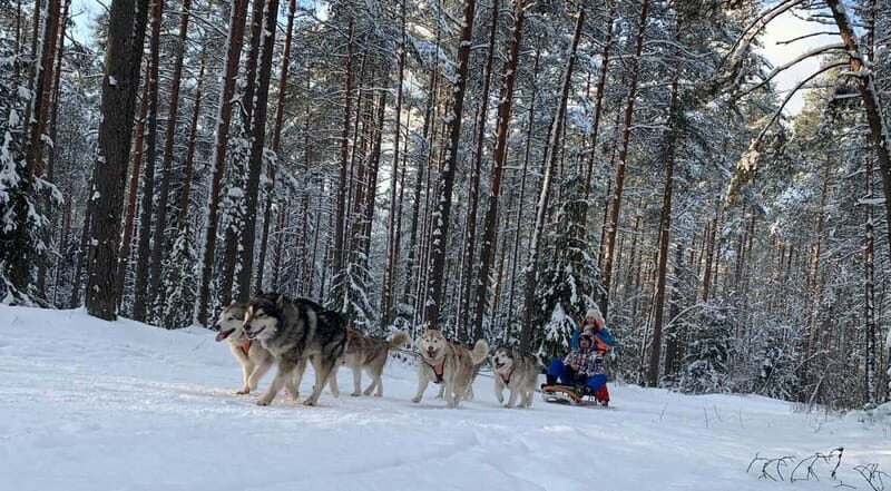 From Riga: Husky Sledding or Wheel Kart Tour - Value for Money and Practical Tips