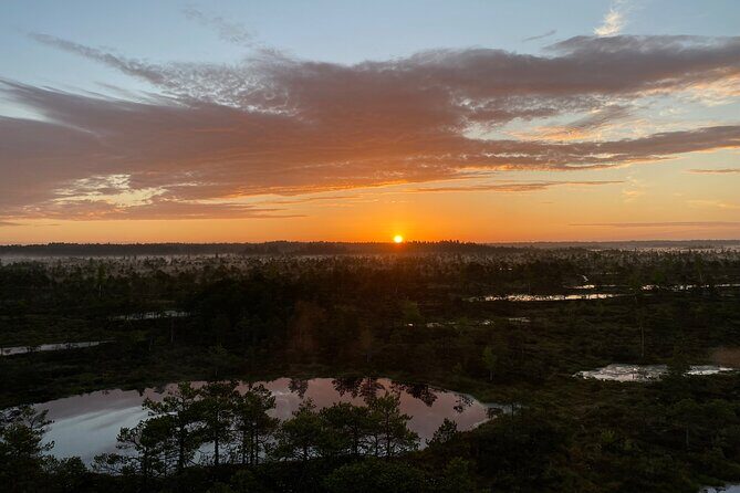 From Riga: Kemeri Bog Boardwalk and Jurmala Seaside - From Riga: Kemeri Bog Boardwalk and Jurmala Seaside