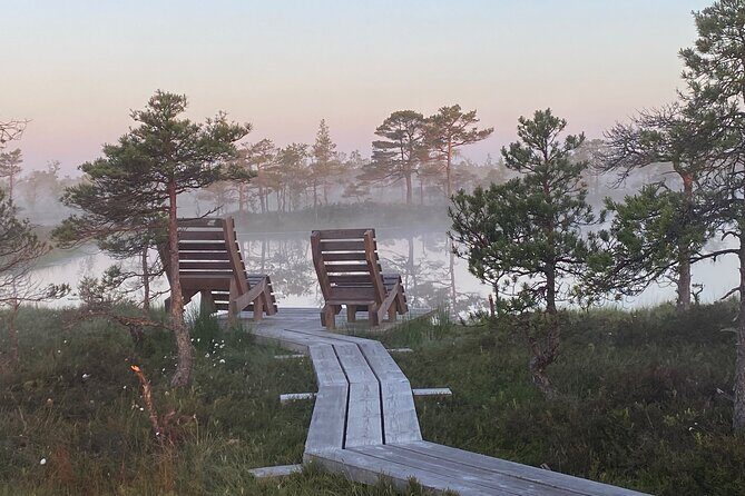 From Riga: Kemeri Bog Boardwalk and Jurmala Seaside - The Charm of Jurmala