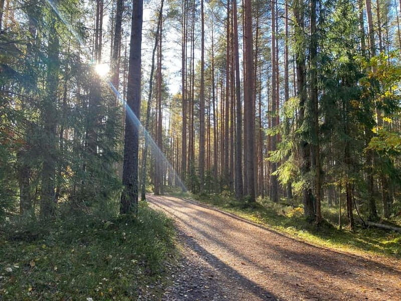 From Riga: Kemeri Bog & Seaside Jurmala - Key Points