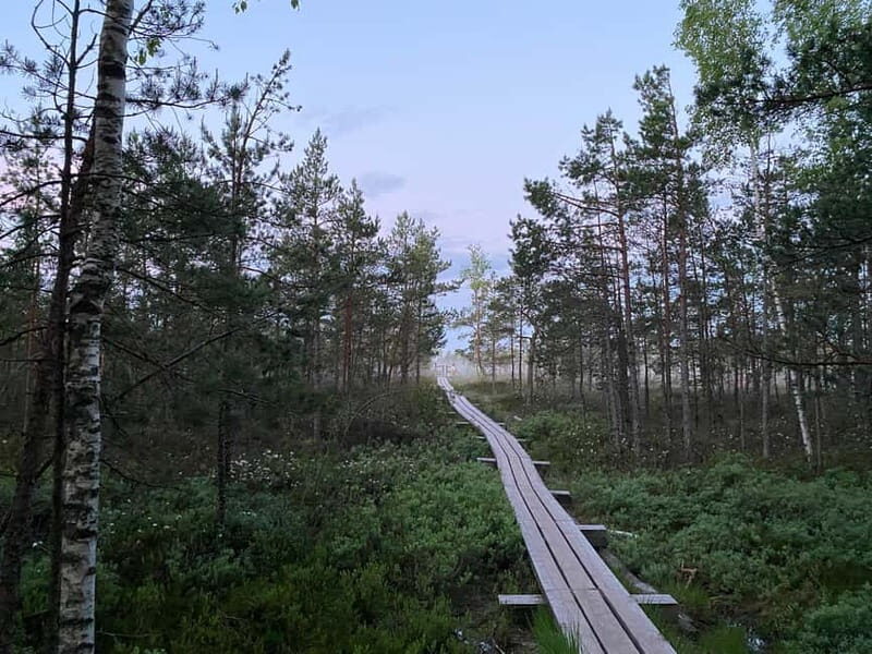 From Riga: Kemeri Bog & Seaside Jurmala - Exploring Latvia’s Natural Wonders and Seaside Vibe