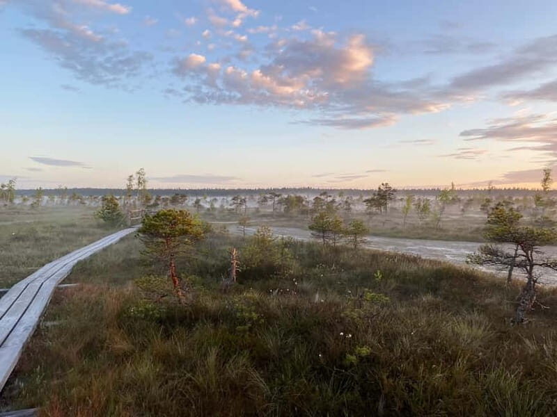 From Riga: Kemeri Bog & Seaside Jurmala - FAQ