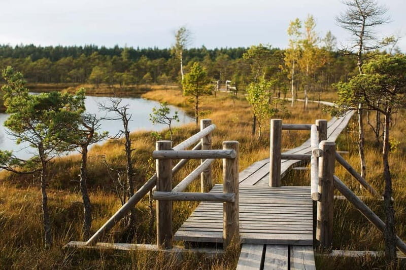 From Riga: Kemeri National Park and Kuldiga Tour - FAQs