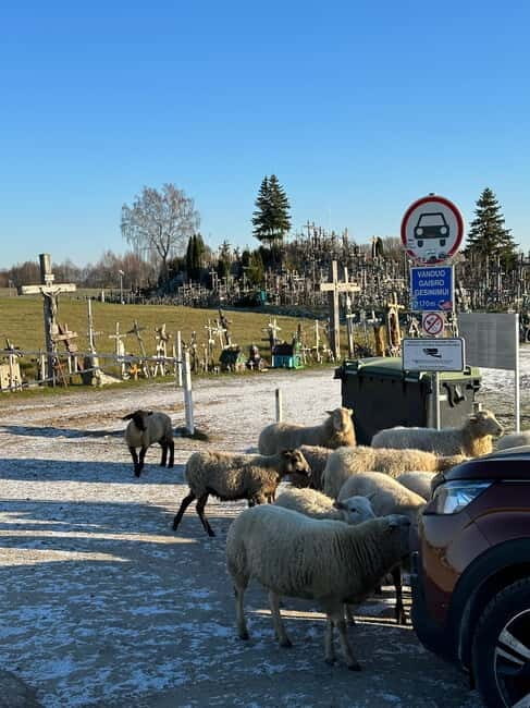 From Riga: Trip to Hill of Crosses, Rundale Palace & Bauska - The Itinerary: A Deep Dive into Each Stop